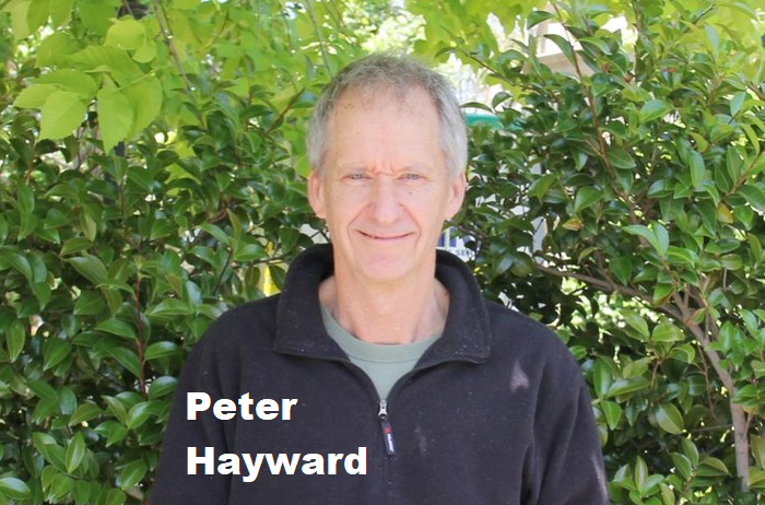 Podcast #52: Nurturing Foresight in a Short-Sighted World, with Peter ...